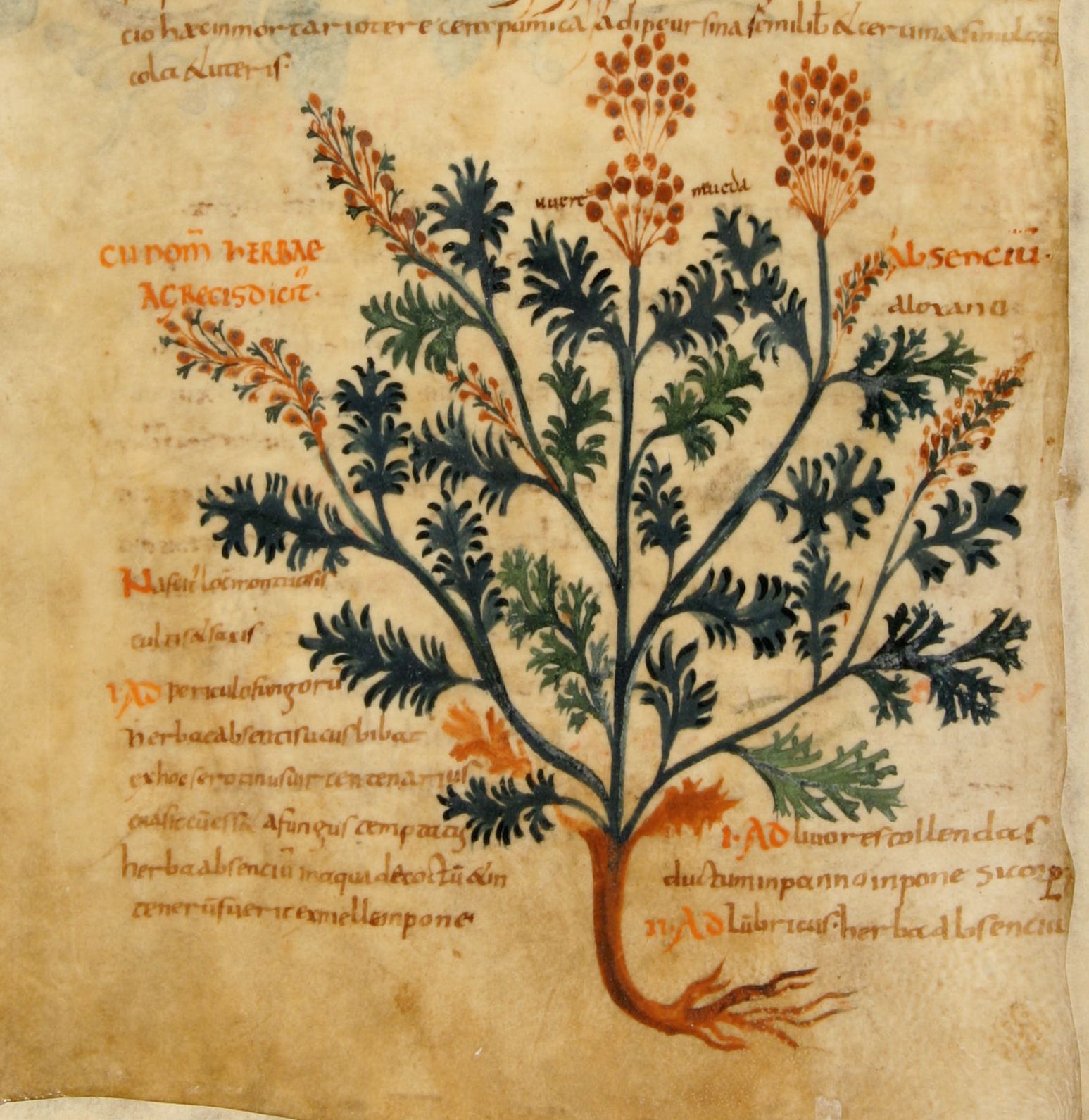Ambizione | eikones - Center for the Theory and History of the Image